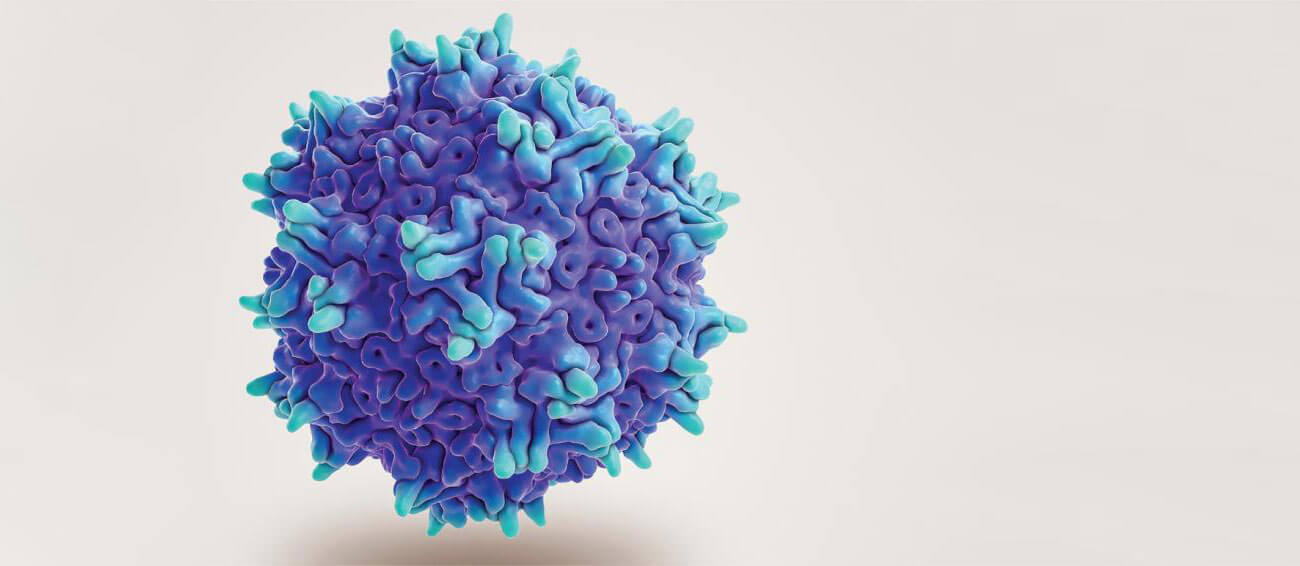 AAV Vector Production - Custom AAV - BrainCase